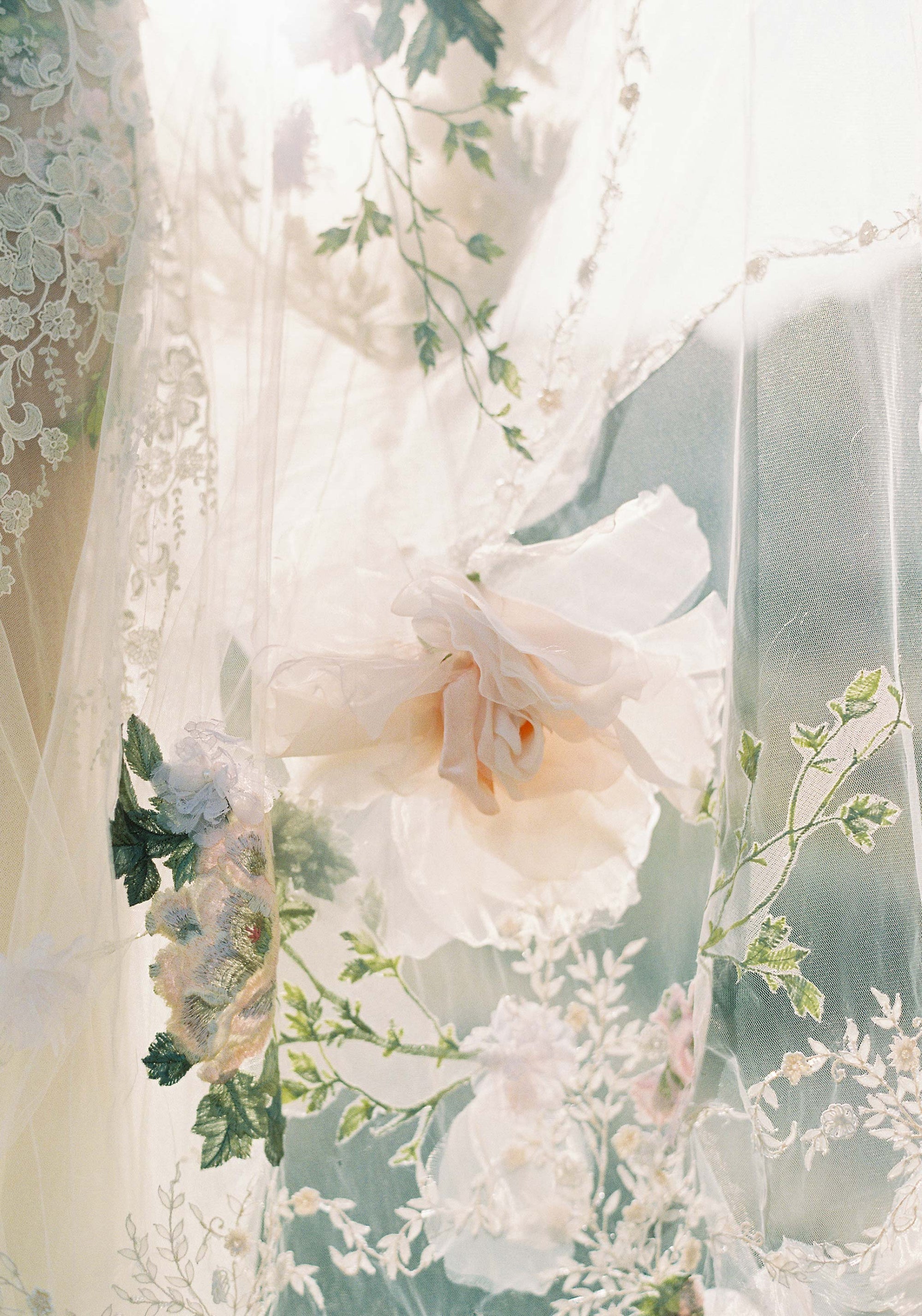 Enchanted Rose Bridal Cape by Claire Pettibone – Claire Pettibone ...
